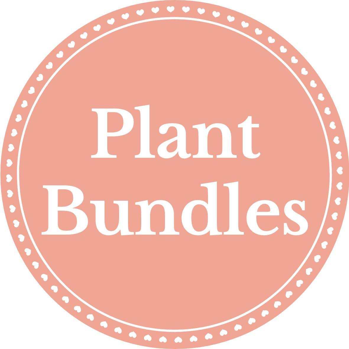 Plant Bundles for Sale | Cost-Effective & Environmentally Friendly ...